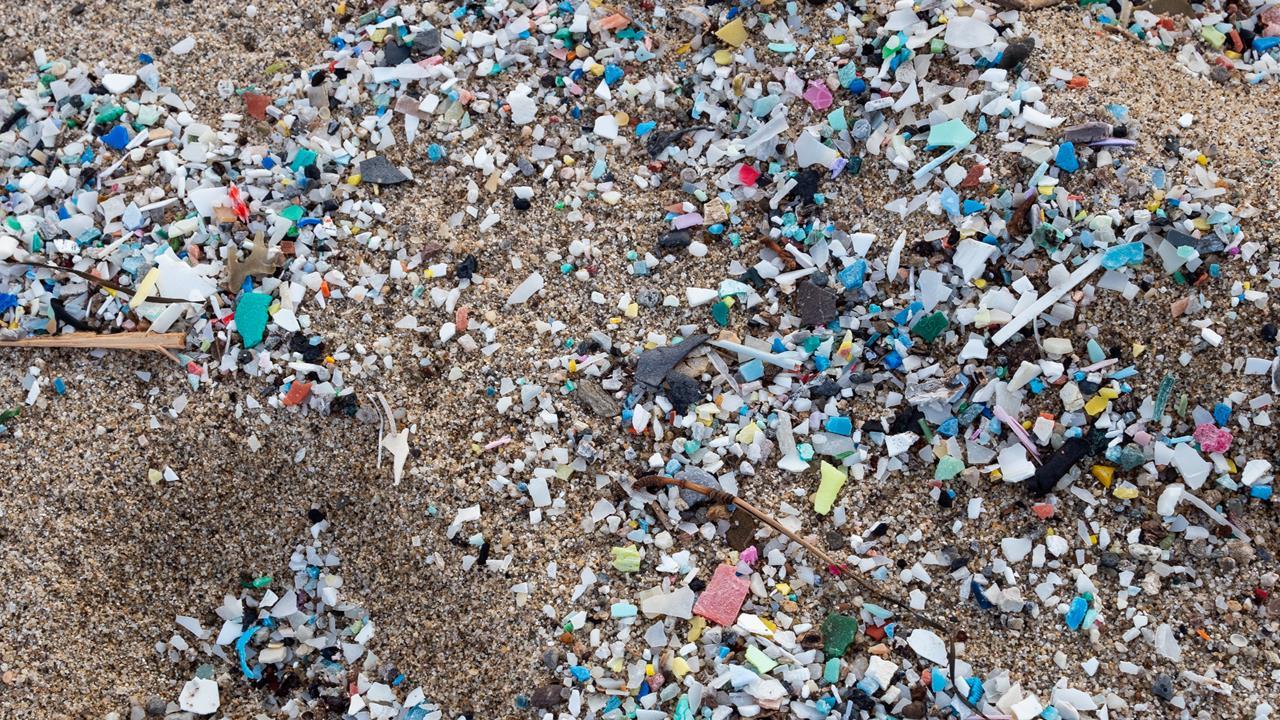 Wrap's Plastics Pact: is it making enough progress? | Analysis ...