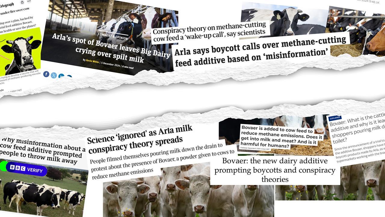Inside Arla’s Bovaer crisis and its aftermath | Analysis & Features ...