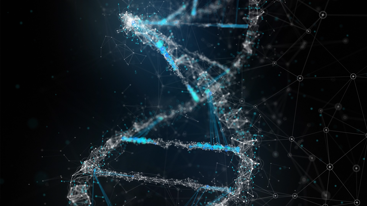 Alternative proteins: how to navigate the regulatory maze | The Grocer