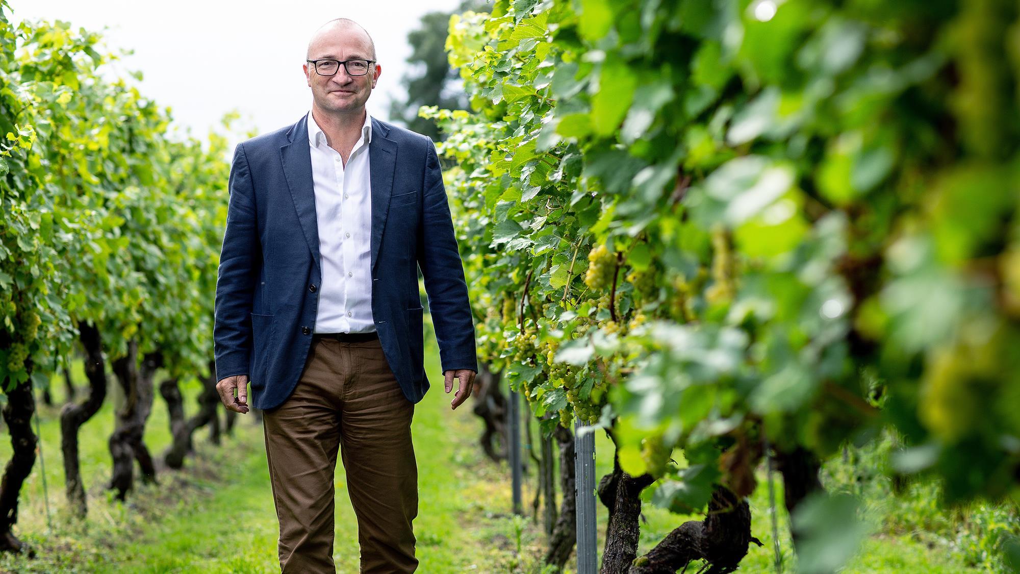 Chapel Down CEO Andrew Carter on comebacks, climate change and raising ...