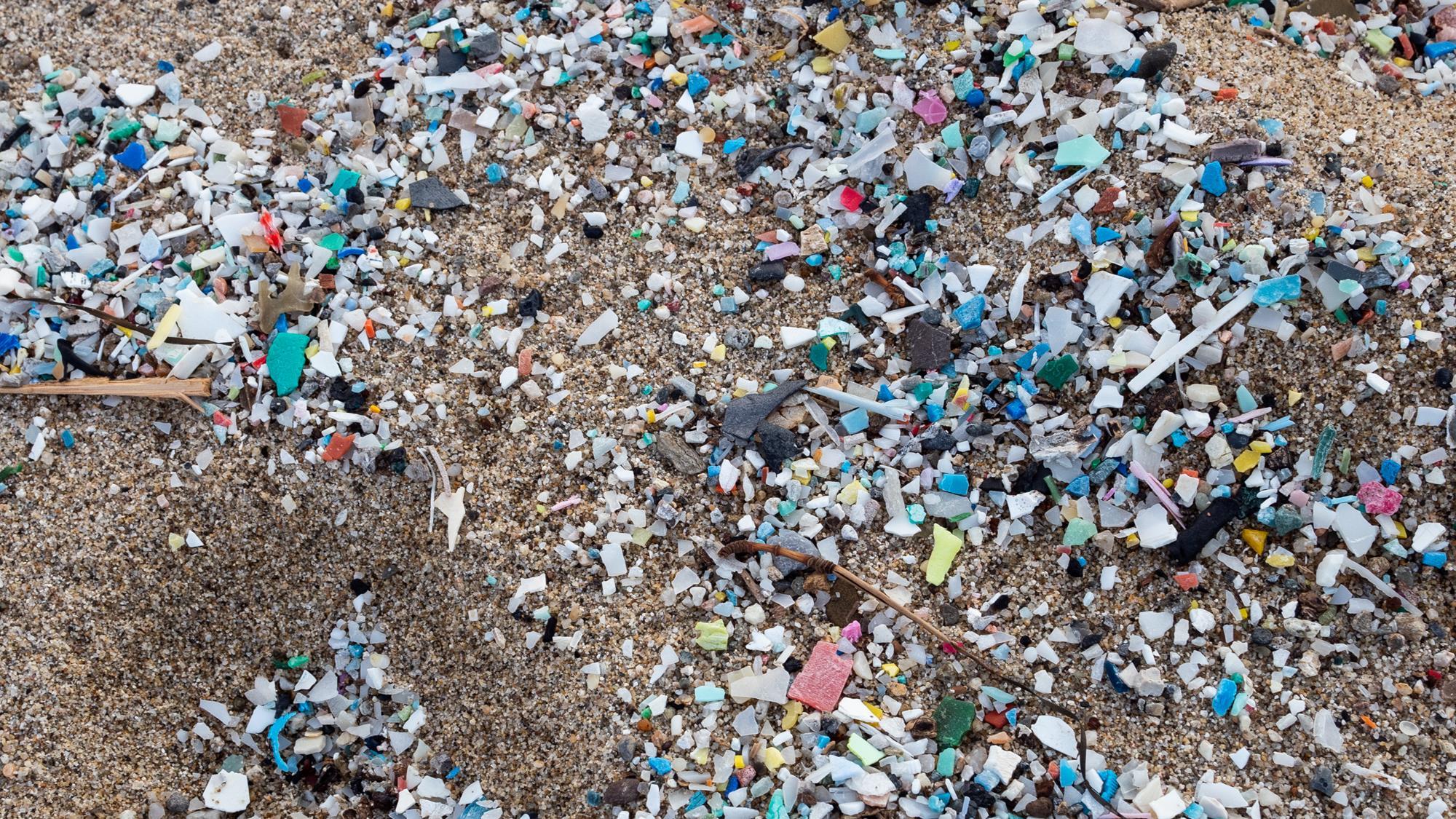 Wrap's Plastics Pact: is it making enough progress? | Analysis ...
