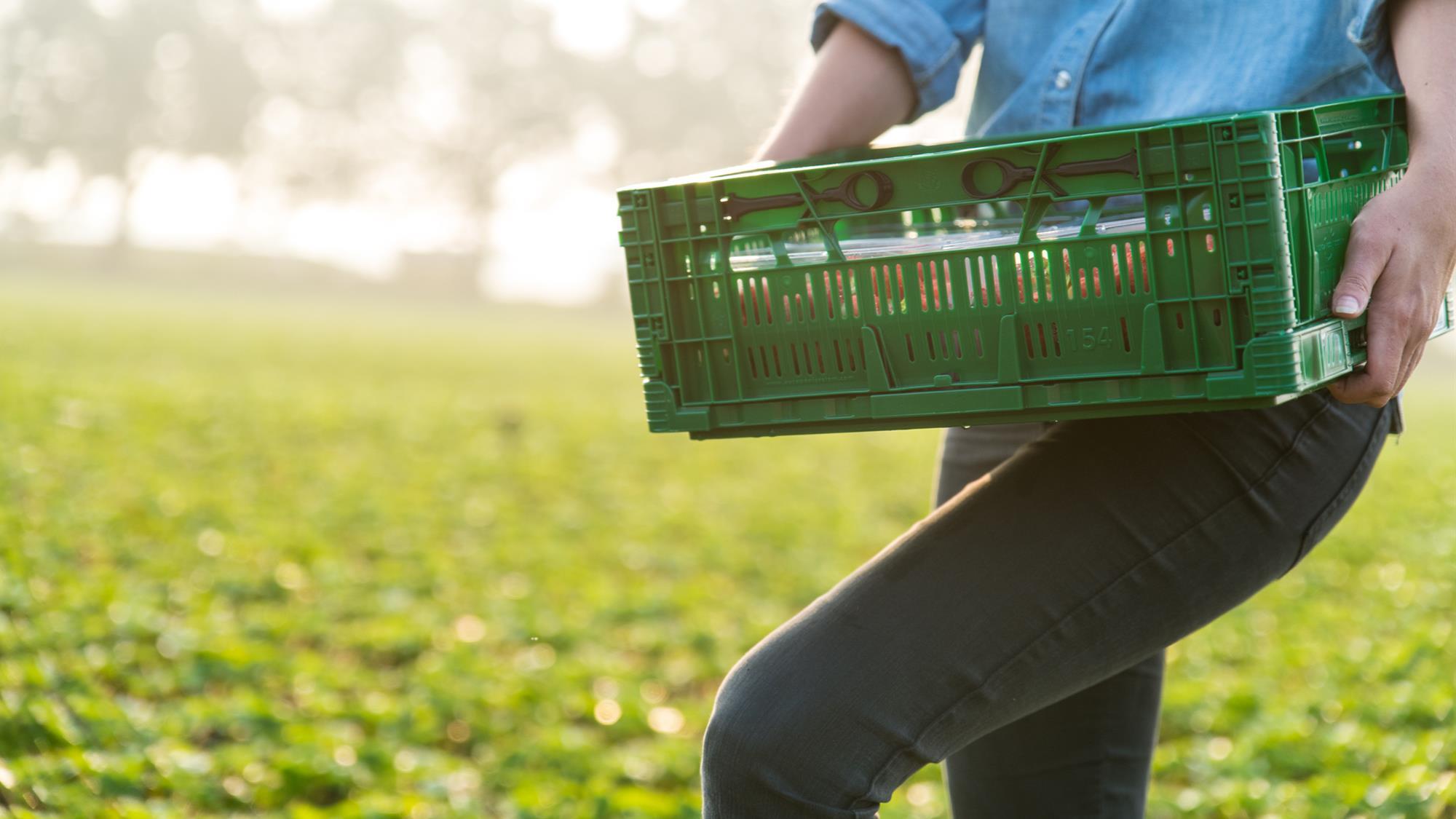 Summit seasonal worker pledge lays bare government rift on immigration ...