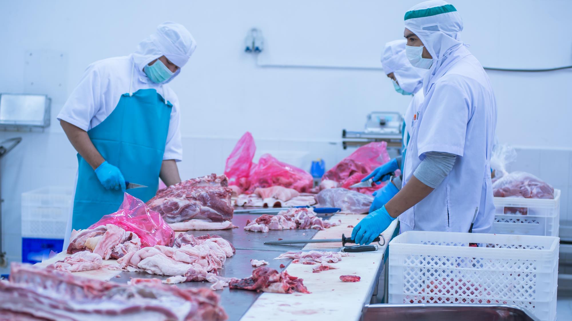 Are meat factories more susceptible to coronavirus outbreaks ...