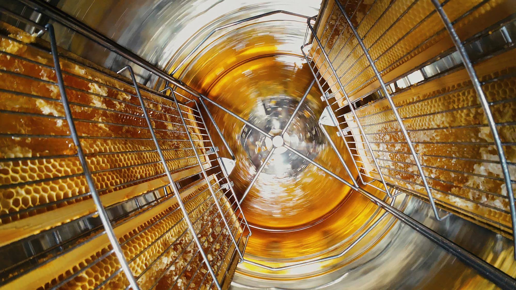 What’s the truth behind honey fraud claims? | The Grocer