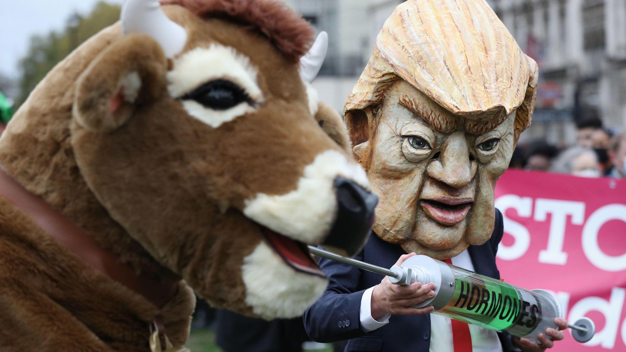 Hormone-treated beef explained: is it a problem or a solution ...