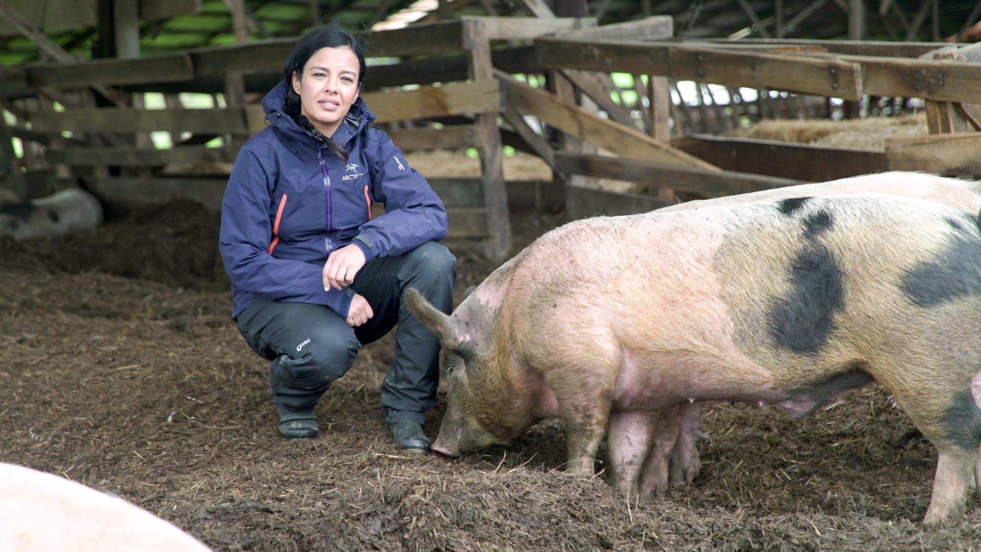 Meat documentary failed to play up benefits of UK’s sustainable farming ...