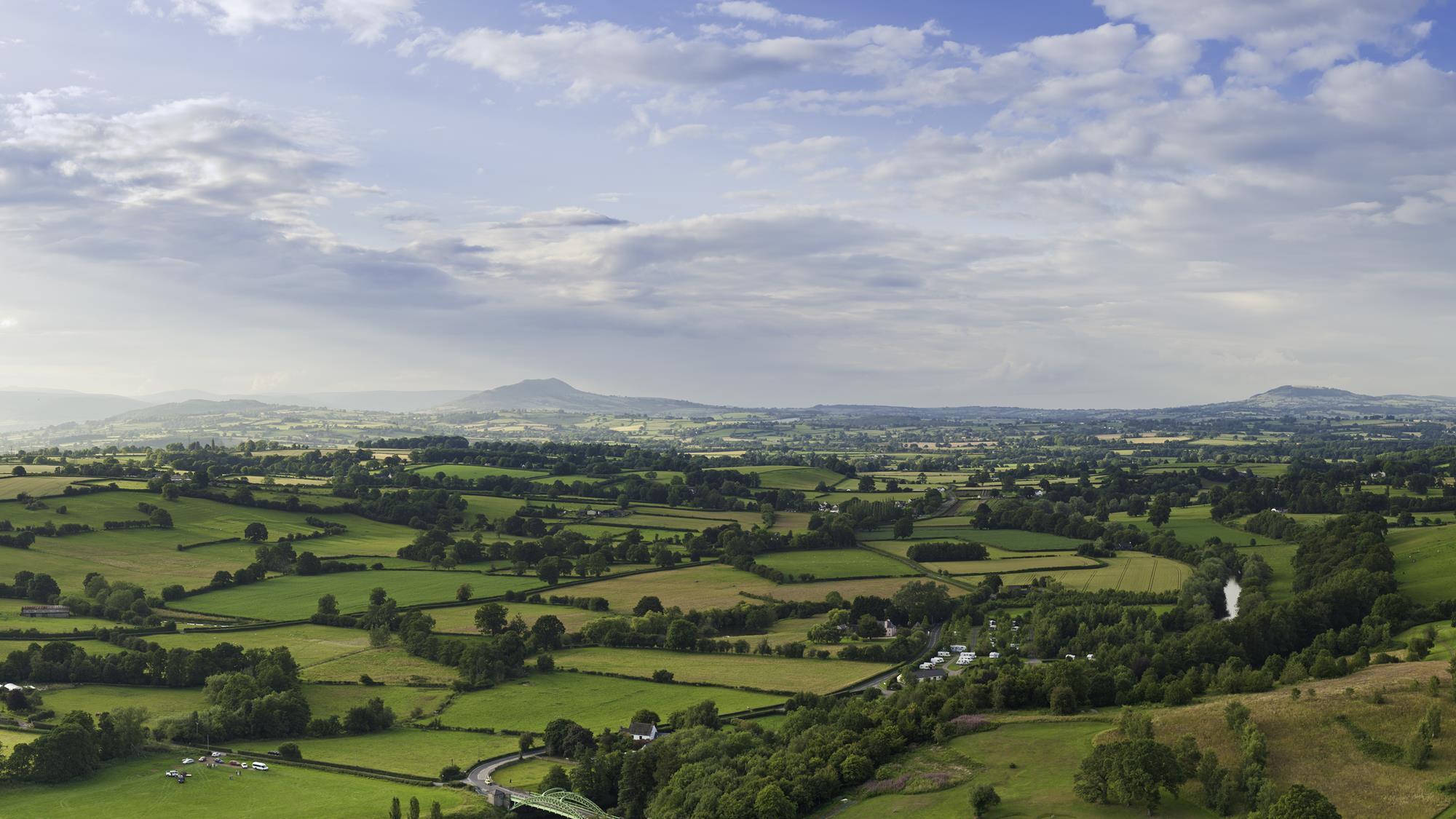 ASA flags potential greenwashing clampdown for food labels | The Grocer