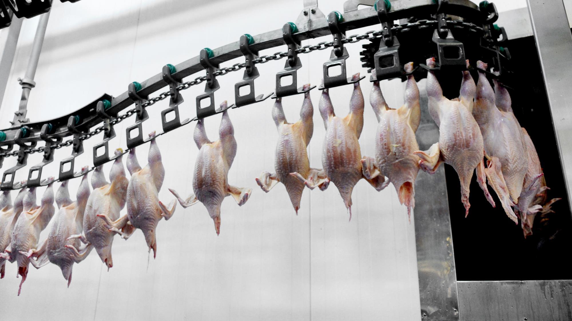 US food fears: chlorinated chicken is the tip of the iceberg | Comment ...