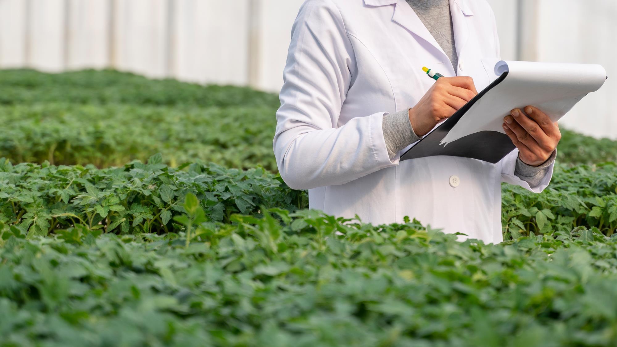 Precision Breeding bill will not solve UK food security issues | The Grocer