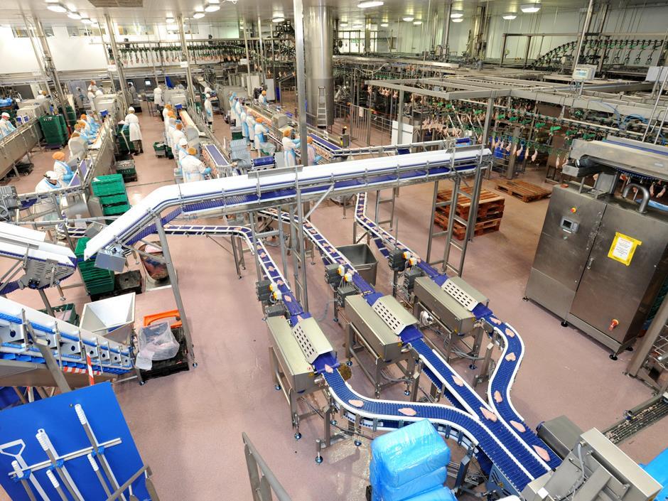 Moy Park creates allergen-free factory in £18m investment | News | The ...