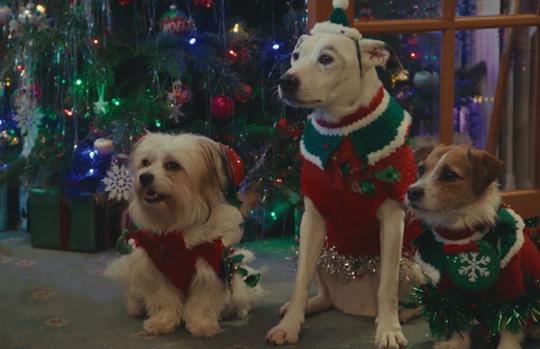 Morrisons celebrates farmers and suppliers in Christmas advert 2025 ...
