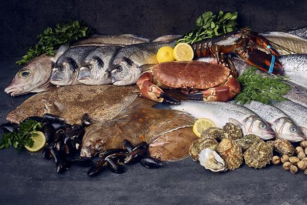 KFF launches new fresh fish range with brand new products | The Grocer