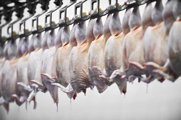 ‘Chicken King’ Singh offloads Euro poultry business to his private ...