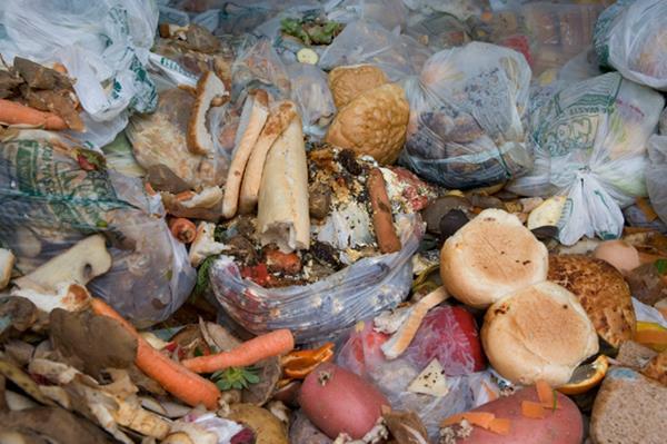 Food waste: Government urged to target companies shirking transparency ...