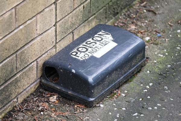 Retailers cut pest control as rodent infestations soar | The Grocer