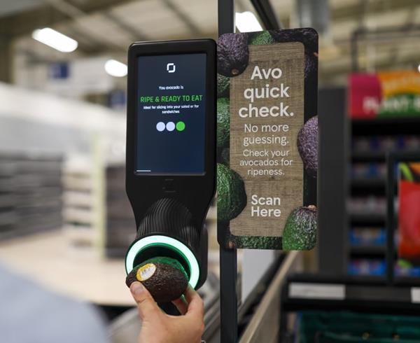 Tesco trials in-aisle avocado ripeness scanner | News | The Grocer