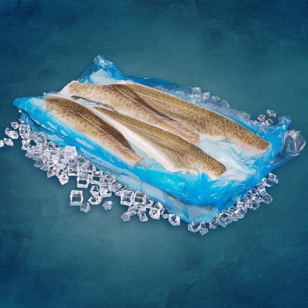 JJ Foodservice unveils new fish shatter packs and logo | The Grocer