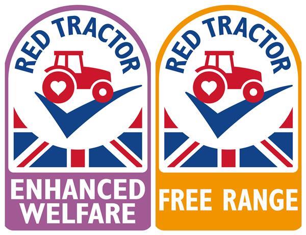 Red Tractor consults on higher welfare standards for pigs | The Grocer