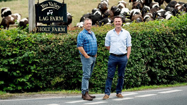 How Yeo Valley is diversifying from dairy and ‘democratising organic ...