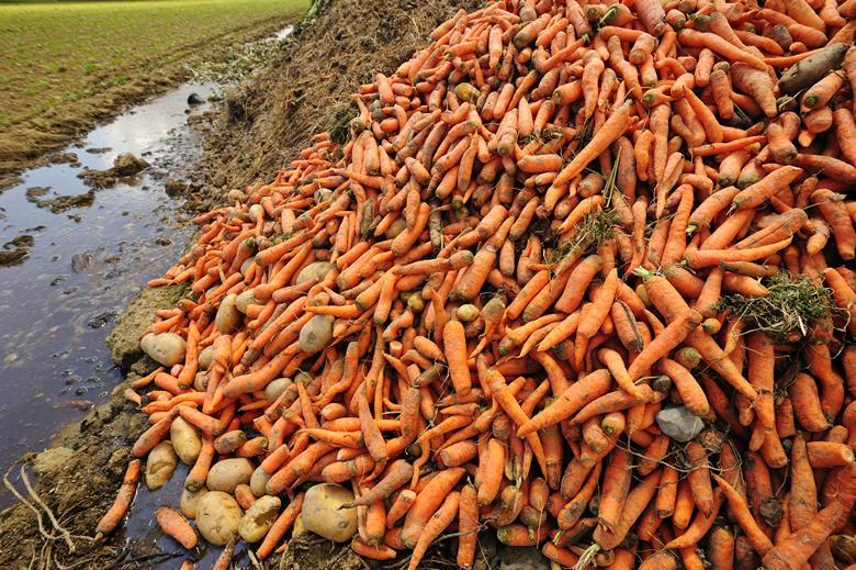 Reassessing the fight against retail food waste after Tesco's scandal ...