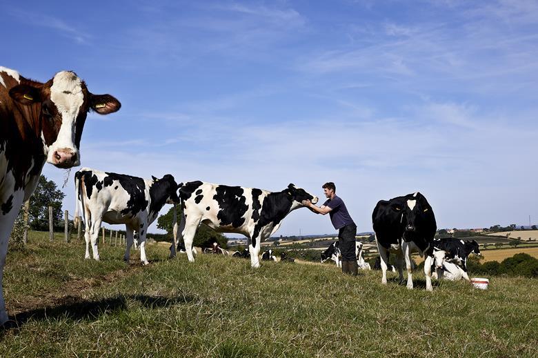 Arla describes boycott calls over methane-cutting additive as ...