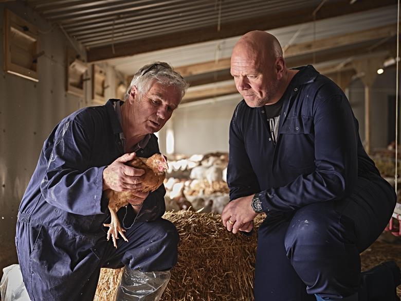 Why are supermarkets ignoring the Better Chicken Commitment? | Analysis ...