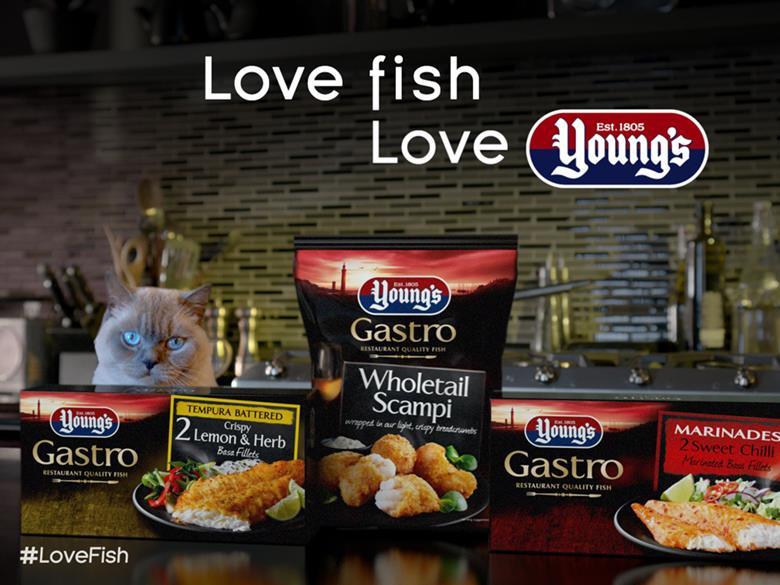 Young's launches multimillion ad campaign for Gastro fish | News | The ...