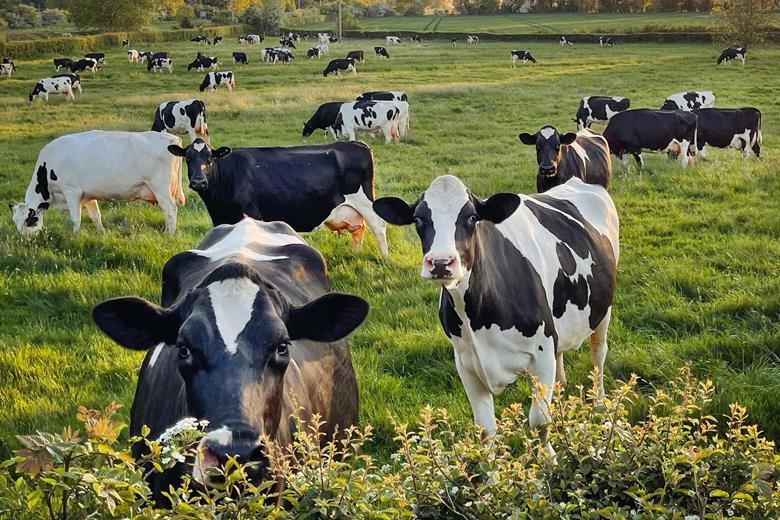 Danone, Bel and Nestlé lead on methane cuts as rivals ‘lag’ | The Grocer