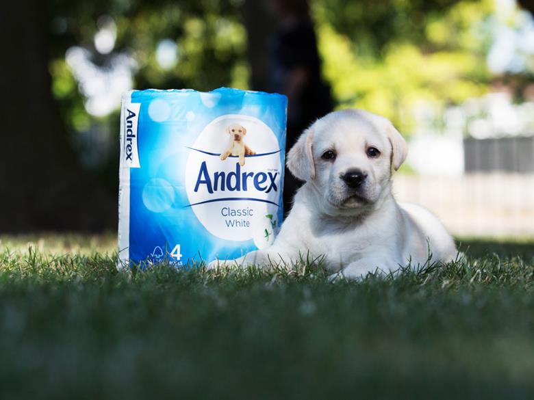 Kimberly-Clark cuts profit forecasts due to US tariffs | News | The Grocer