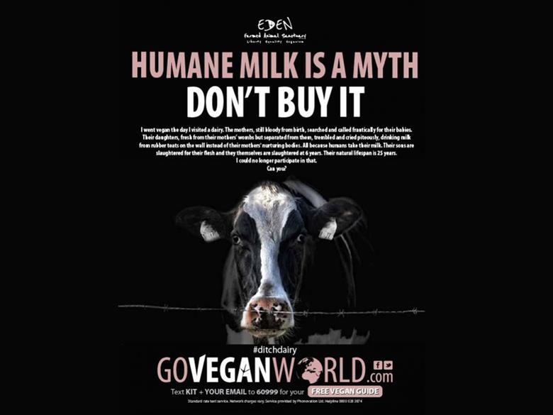 Vegan campaign ad ruled 'unlikely to mislead' | News | The Grocer