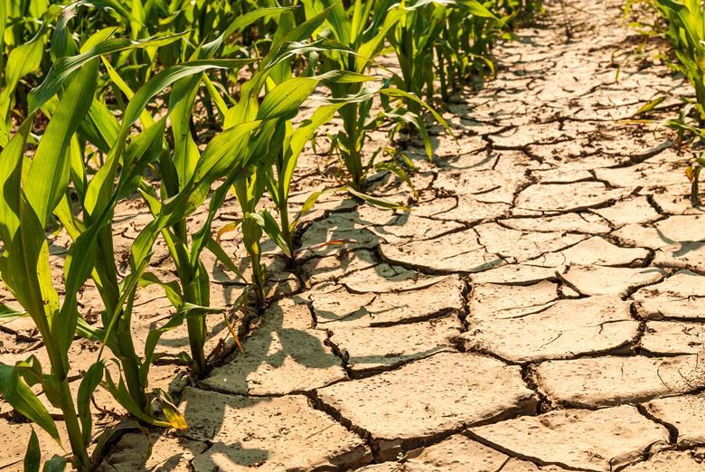 What are the biggest threats to UK food security | The Grocer