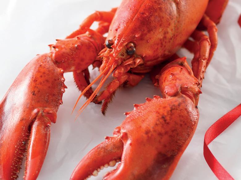 Lidl is first UK supermarket to offers MSC-certified lobster | News ...