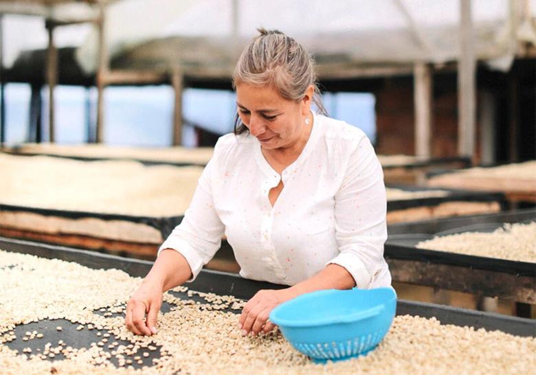 Pact Coffee to source exclusively from women growers in March | The Grocer