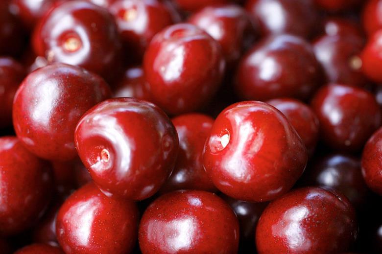 First Picota cherries of season arrive in UK from Spain | News | The Grocer
