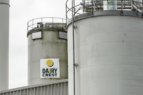 Dairy Crest name to disappear as it rebrands to Saputo Dairy UK | News ...