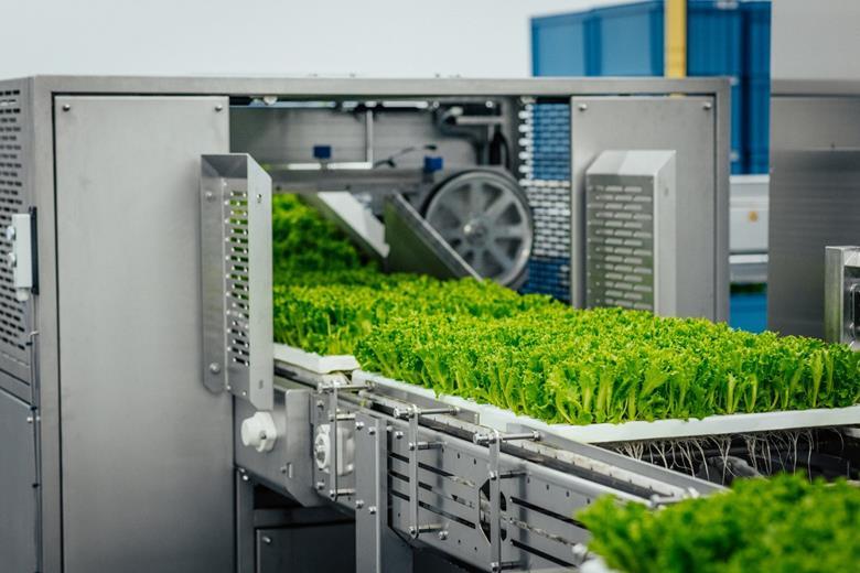 How GrowUp Farms is growing UK salad supply year round - GrowUp Farms