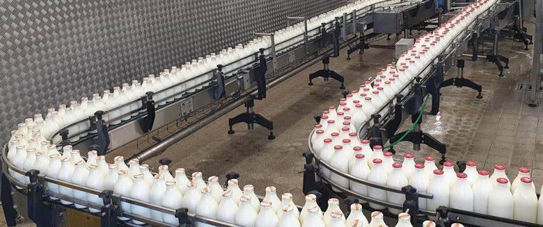 How Milk & More turned into a dairy pioneer | Analysis & Features | The ...