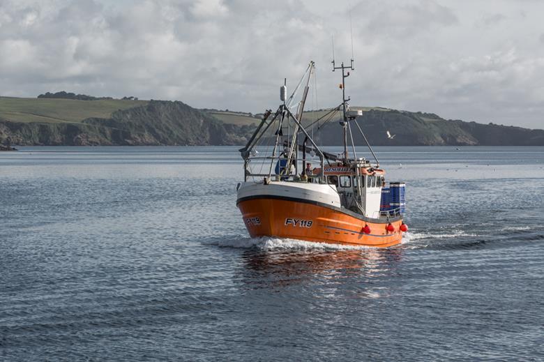MCS Good Fish Guide ‘too harsh’, claim fishing bodies | News | The Grocer