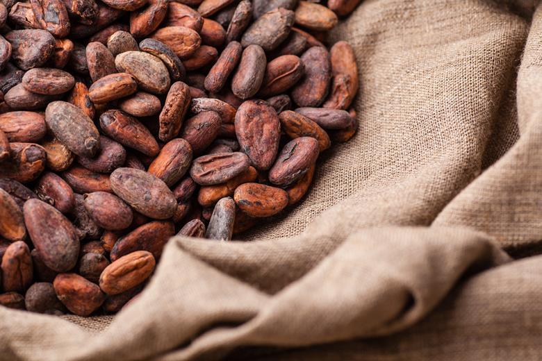 Confectionery giants may be 'exposed to deforested cocoa' | The Grocer
