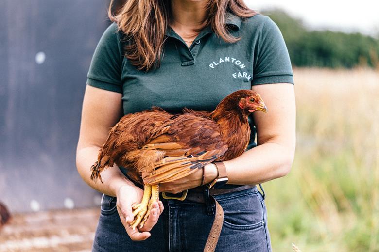 Why we need a truly regenerative system in chicken farming | Comment ...
