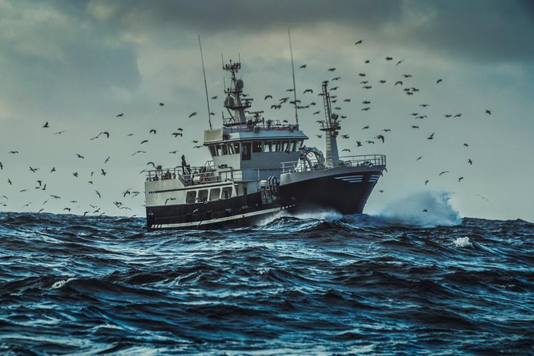 North Sea whitefish quotas slashed with cod down nearly 50% | The Grocer