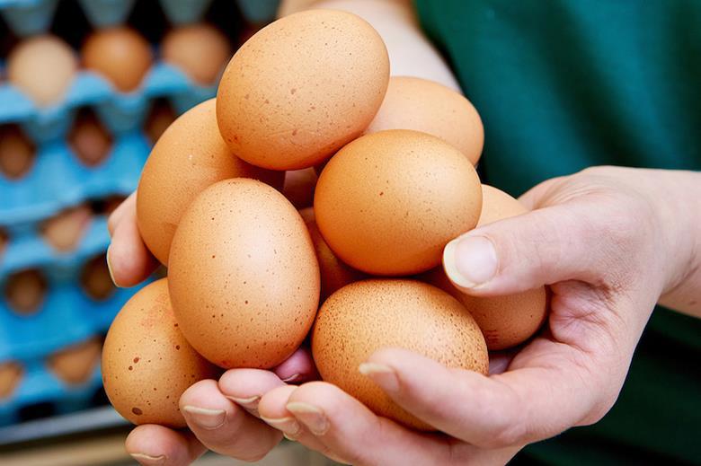 Morrisons beats Sainsbury’s to selling only free-range eggs | News ...