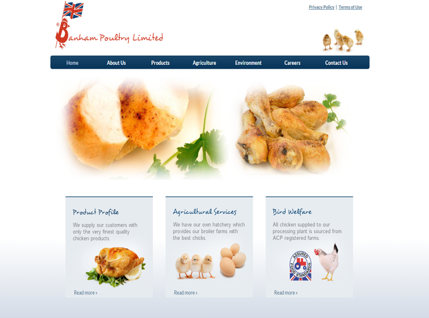 Banham Poultry slips to loss as chicken fillets hit by grocery price ...