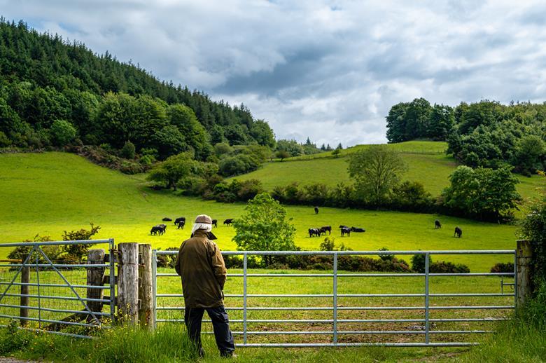 Long-awaited Land Use Framework unveiled by government | News | The Grocer
