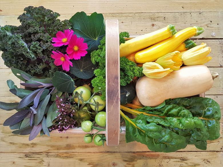 How Yolk Farm cracked the farm shop formula | Analysis & Features | The ...