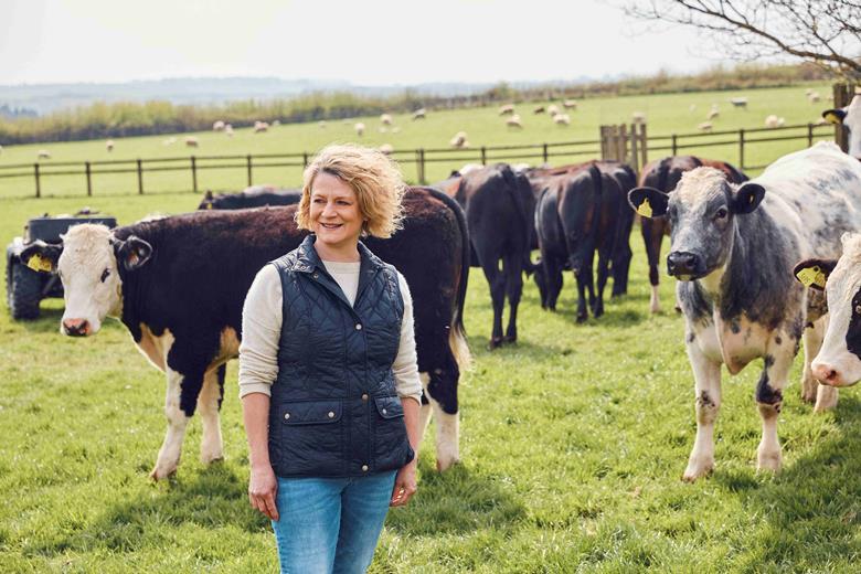 Lidl invests £1.5bn in beef supply chain sustainability push | The Grocer