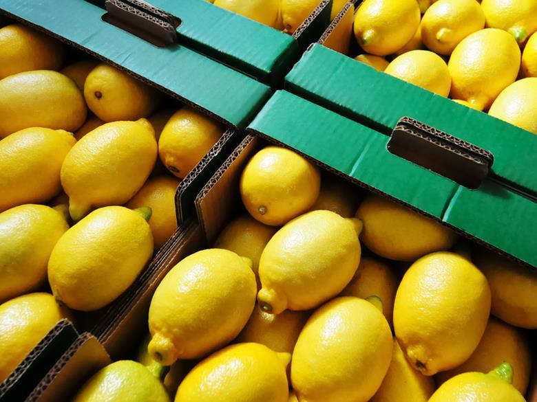 Supermarket lemon prices rocket as supply tightens | News | The Grocer