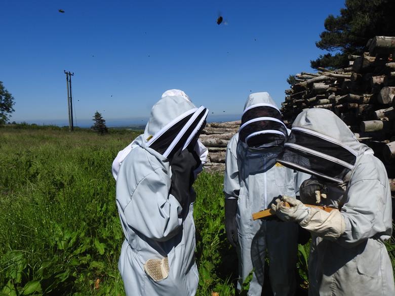 The Scottish Bee Company: 'the essence of a Scottish larder' | The Grocer