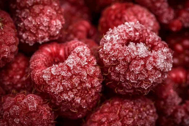 Focus On Frozen Foods: 21 February | Feature Synopsis | The Grocer