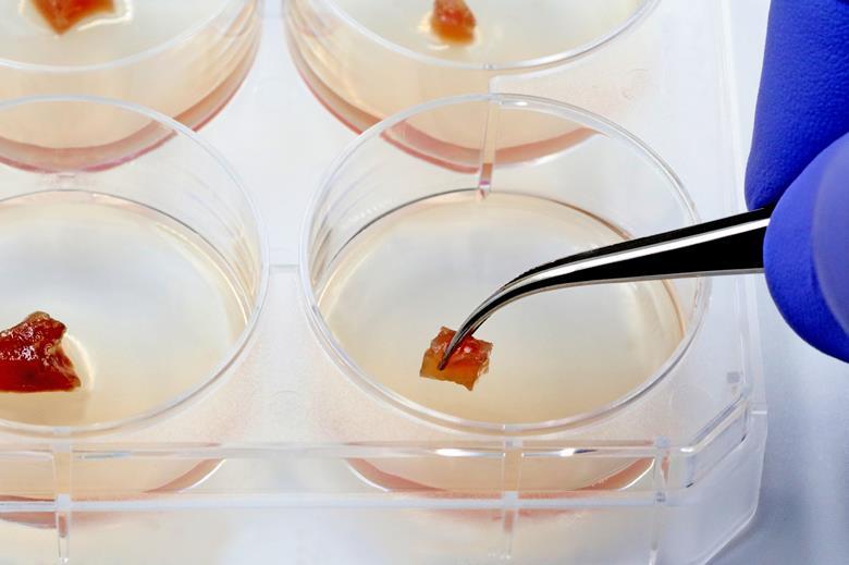 JBS to open $22m cultivated protein site | News | The Grocer